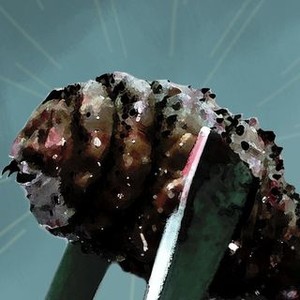 Monsters Inside Me: Extra Deadly - Rotten Tomatoes