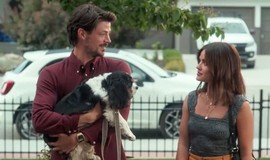 Puppy Love - Rotten Tomatoes
