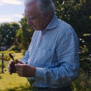 The Quest of Alain Ducasse (2017) - Rotten Tomatoes