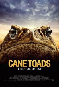 Cane Toads: The Conquest | Rotten Tomatoes