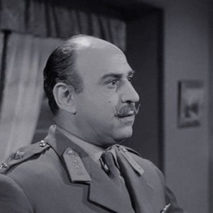 Sultan - Rotten Tomatoes