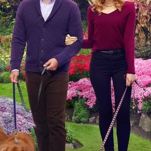 Walking the Dog - Rotten Tomatoes