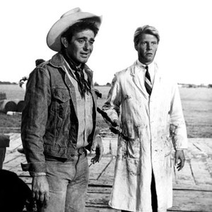 James Fox - Rotten Tomatoes