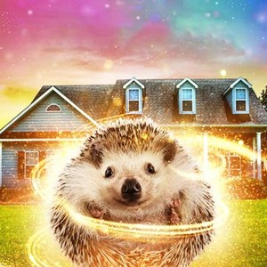 Andy the Talking Hedgehog (2018) - Rotten Tomatoes