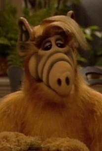 ALF: Season 4, Episode 21 - Rotten Tomatoes