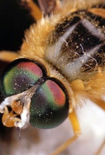 Man v. Animal: Season 1, Episode 3 | Rotten Tomatoes