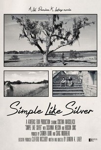Simple Like Silver | Rotten Tomatoes