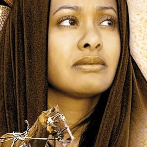Color of the Cross 2: The Resurrection - Rotten Tomatoes