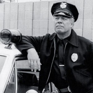 The Blue Knight - Rotten Tomatoes