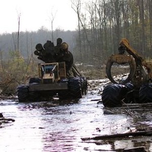 Swamp Loggers - Rotten Tomatoes