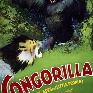 Congorilla - Rotten Tomatoes