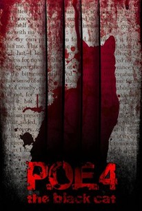 POE 4: The Black Cat | Rotten Tomatoes