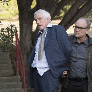 Patrick Husted - Rotten Tomatoes