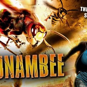 Tsunambee - Rotten Tomatoes