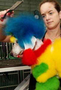 Preposterous Pets: Season 1, Episode 4 | Rotten Tomatoes