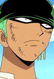 One Piece: Season 9, Episode 17 | Rotten Tomatoes