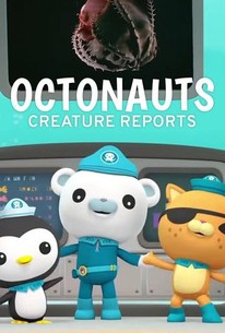 Octonauts: Creature Reports: Season 1, Episode 43 | Rotten Tomatoes