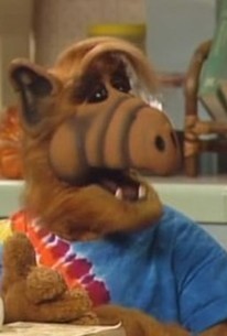 ALF - Season 4 Episode 3 - Rotten Tomatoes