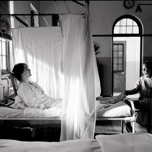 The Fall - Rotten Tomatoes