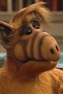 ALF: Season 4, Episode 24 | Rotten Tomatoes
