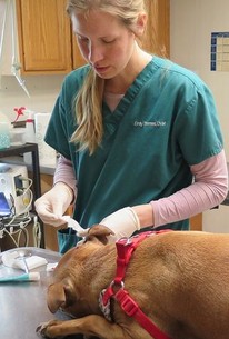 The Incredible Dr. Pol: Season 13, Episode 10 | Rotten Tomatoes