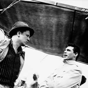 George Stevens - Rotten Tomatoes