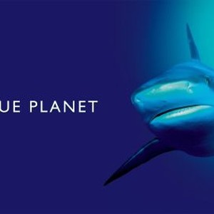 The Blue Planet - Rotten Tomatoes