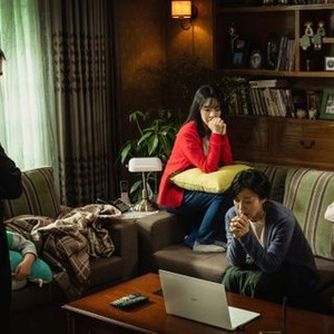 Metamorphosis - Rotten Tomatoes