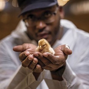 Human Footprint: Season 1, Episode 3 - Rotten Tomatoes