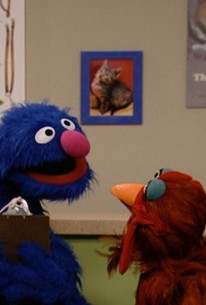 Sesame Street: Season 36, Episode 18 | Rotten Tomatoes