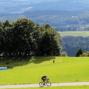 Fairless - Rotten Tomatoes