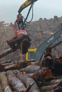 Big Timber: Season 3, Episode 2 | Rotten Tomatoes