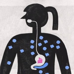 Explained - Rotten Tomatoes