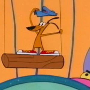 2 Stupid Dogs: Season 2, Episode 11 - Rotten Tomatoes