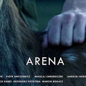 Arena - Rotten Tomatoes