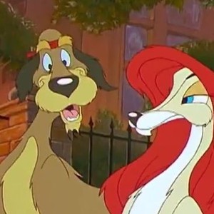 Millionaire Dogs - Rotten Tomatoes