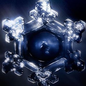 The Secret of Water - Rotten Tomatoes