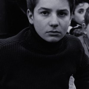 The 400 Blows - Rotten Tomatoes