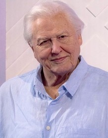 David Attenborough | Rotten Tomatoes