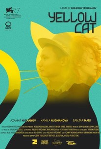 Yellow Cat | Rotten Tomatoes