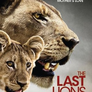 The Last Lions (2011) - Rotten Tomatoes