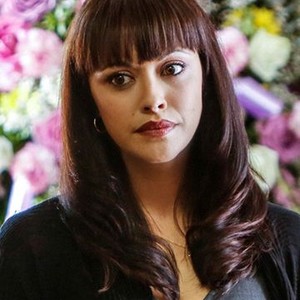 Blue Bloods: Season 4, Episode 11 - Rotten Tomatoes