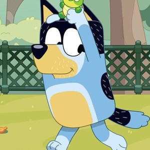 Bluey: Season 3, Episode 30 - Rotten Tomatoes