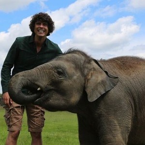 Andy's Baby Animals: Season 1, Episode 12 - Rotten Tomatoes