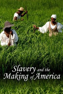 Slavery and the Making of America | Rotten Tomatoes