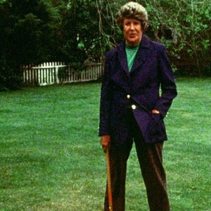 The Windmill Movie - Rotten Tomatoes