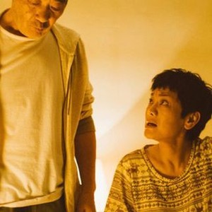 Love Education - Rotten Tomatoes