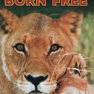 Born Free - Rotten Tomatoes