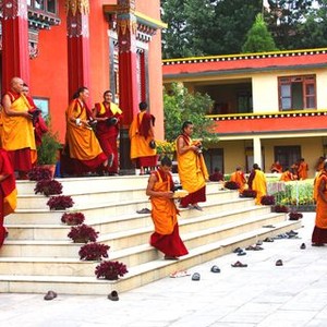 Digital Dharma - Rotten Tomatoes