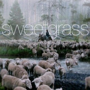 Sweetgrass - Rotten Tomatoes